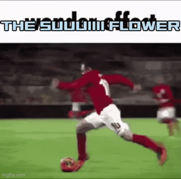Animated GIF - Imgflip