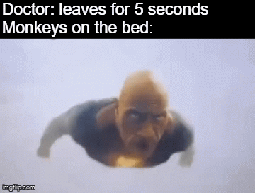 The rock flying - Imgflip