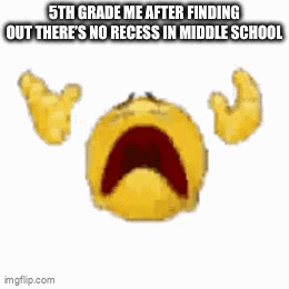 NOOOOOOOO (mod note: fr) - Imgflip