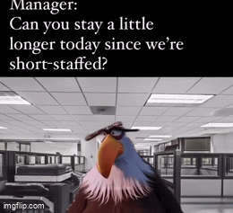 Image tagged in gifs,manager - Imgflip