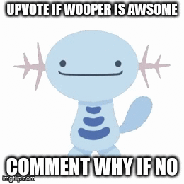 wooper social experement - Imgflip