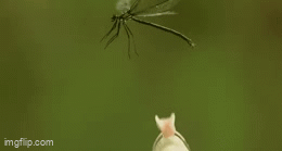 The One That Got Away ! - Imgflip