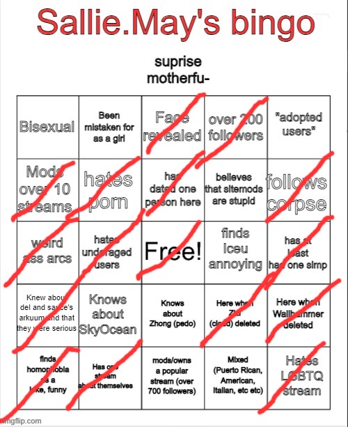 Sallie.May's bingo - Imgflip