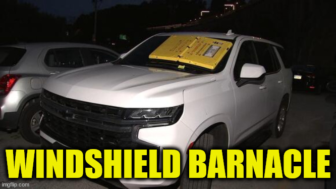 Investigation into windshield barnacles and hefty parking fines they ...