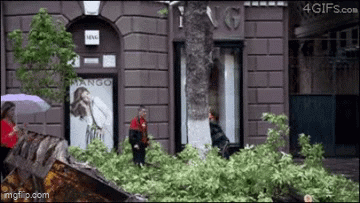 Disappointed Tree Surgeon - Almost Got Her ! - Imgflip