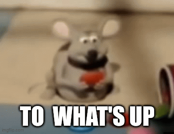 Sad rat eating - Imgflip