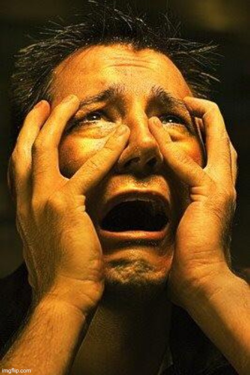 (end note: THERE I AM RUBY) - Imgflip