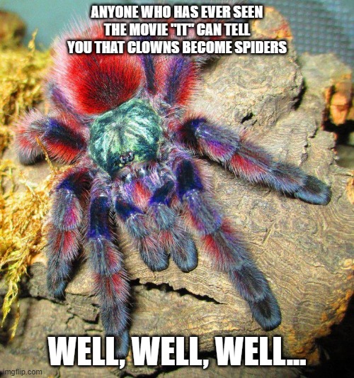 Itsy Bitsy2 - Imgflip