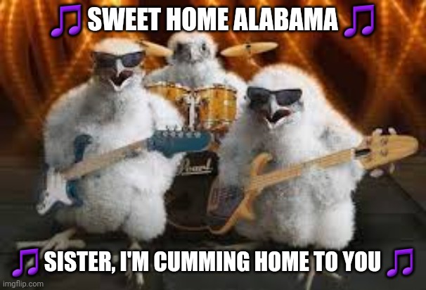 Sweet home Alabama - Imgflip