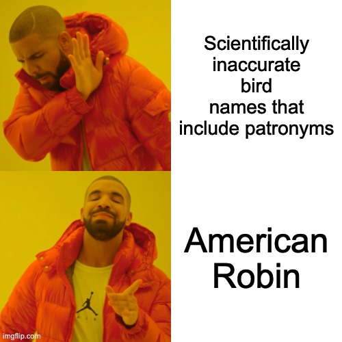 Drake Hotline Bling Meme - Imgflip