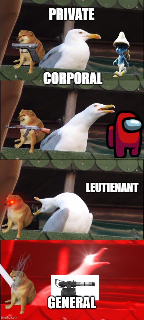 Inhaling Seagull Meme - Imgflip