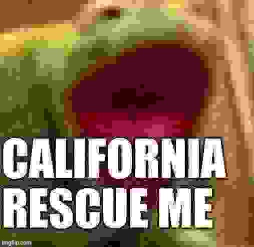 CALIFORNIA RESCUE ME - Imgflip