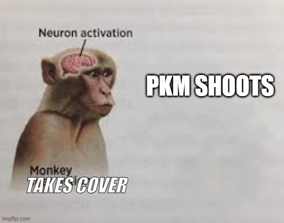 Neuron activation - Imgflip