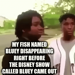 This is actually true. He did disappear before the show Bluey came out. Litteraly no trace of ...