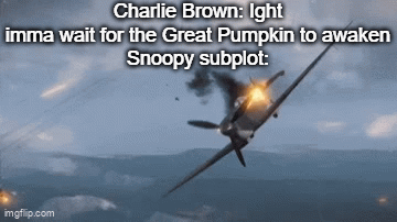 (BAD PUN WARNING) quite a dogfight - Imgflip