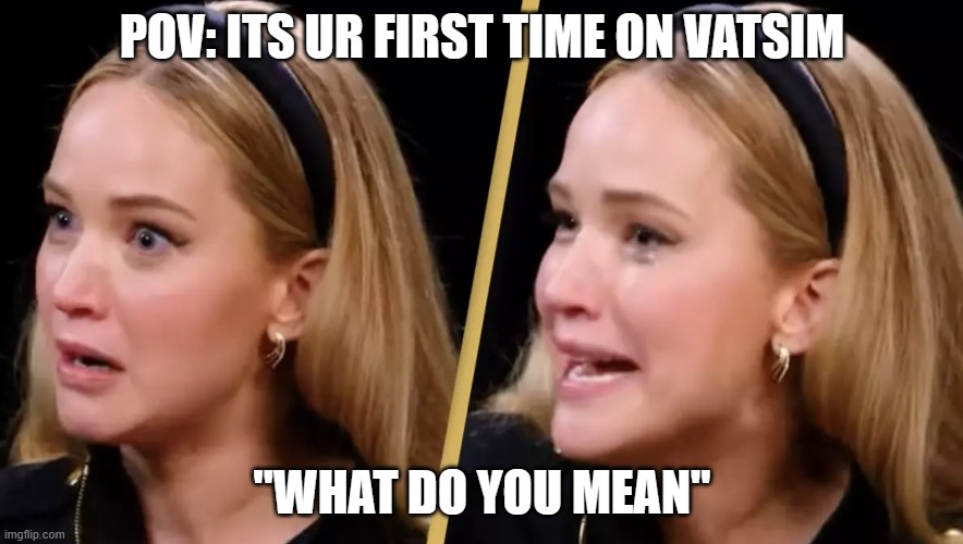 What Do You Mean - Imgflip