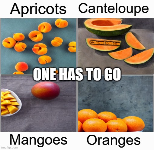 Blank Comic Panel 2x2 Meme - Imgflip