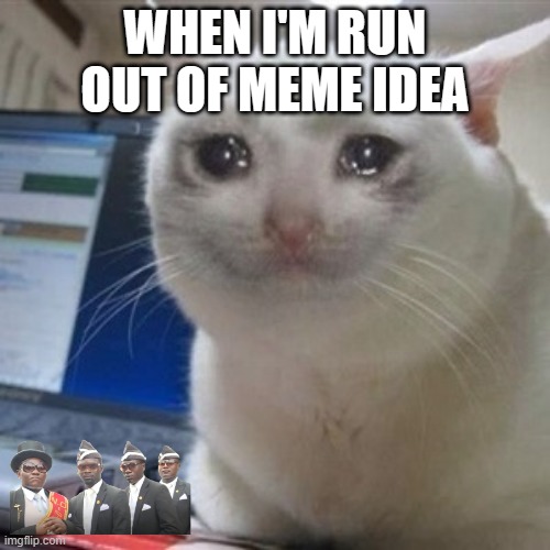 Crying cat - Imgflip