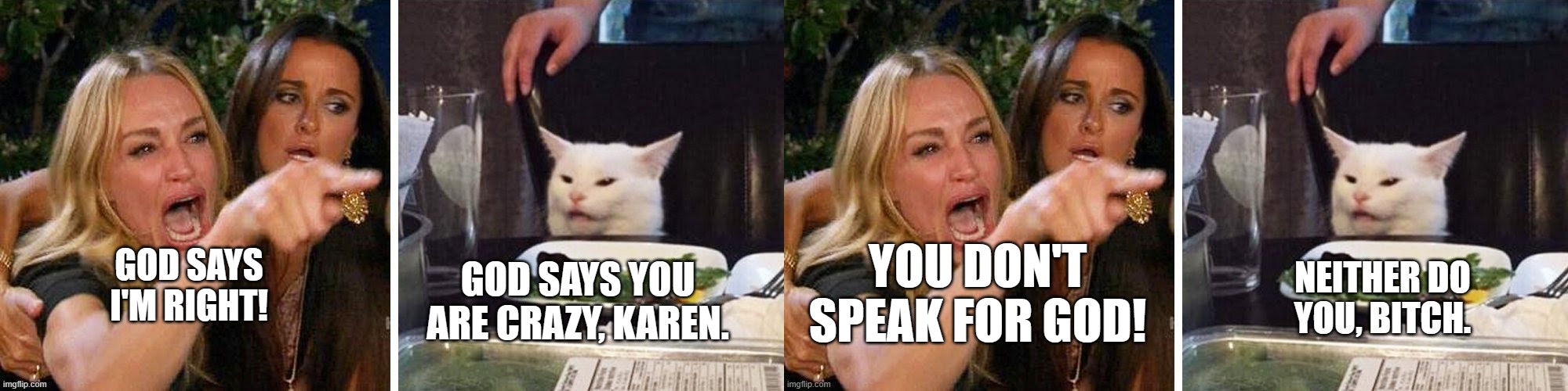 Cat vs Woman 4 Panels - Imgflip