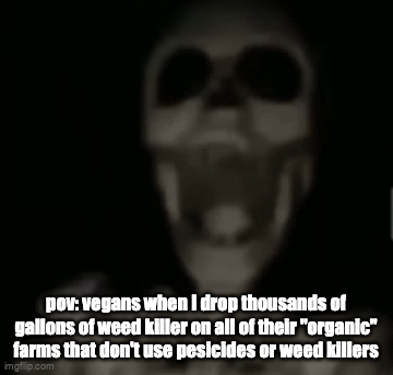 hehehehehe ha - Imgflip