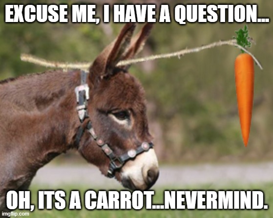 carrot on a stick - Imgflip