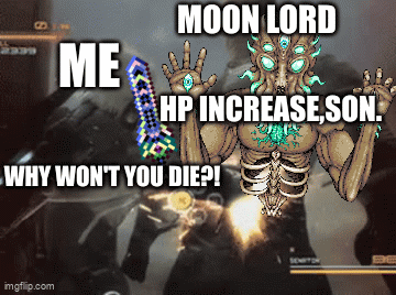 Me,Trying to beat master mode moon lord: - Imgflip