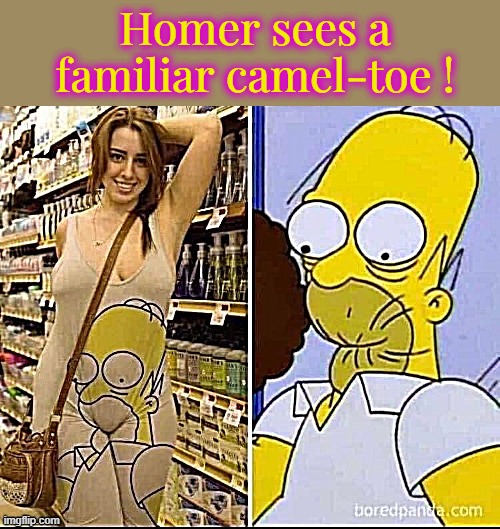 Homer sees double - Imgflip