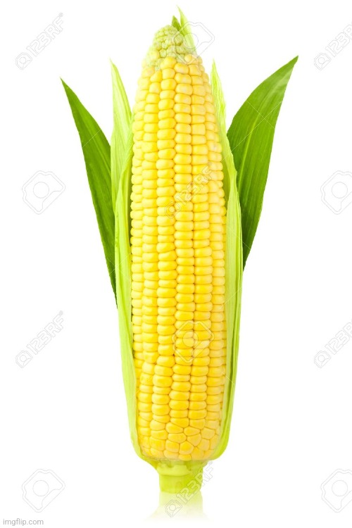 Perfect kernels - Imgflip