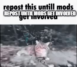 REPOSTTTTT - Imgflip