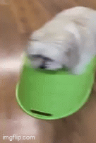 Shaking box - Imgflip