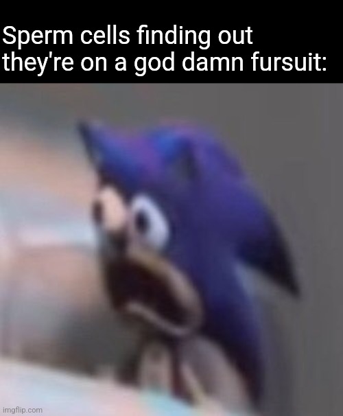 Bad spawn point - Imgflip