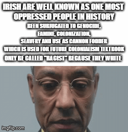 Fun Fact about Irish - Imgflip