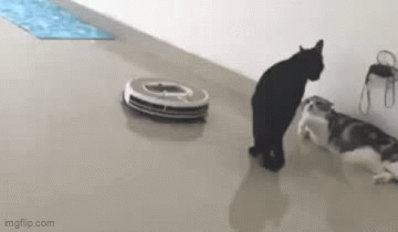 Not Now Roomba ! - Imgflip