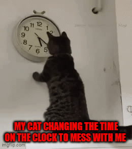 Cat changing the clock - Imgflip