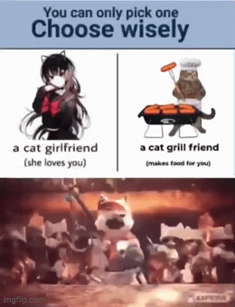 A cat grill friend - Imgflip