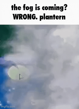 the fog is indeed coming - Imgflip