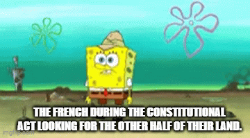 constitutional act - Imgflip