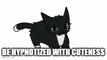 Maxwell the cat... - Imgflip