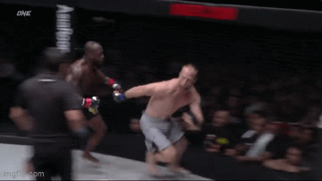 Animated GIF - Imgflip