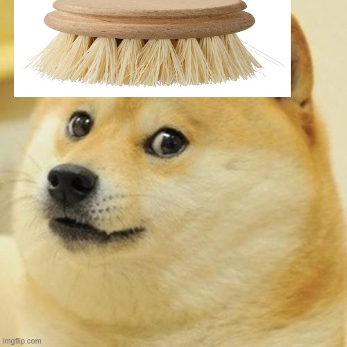 Doge Meme - Imgflip