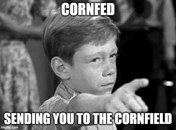 Sending You to the Cornfield - Imgflip