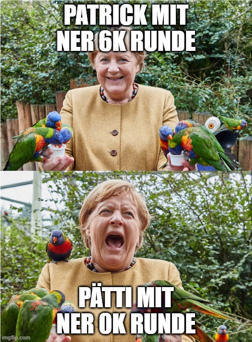 Merkel's Week - Imgflip
