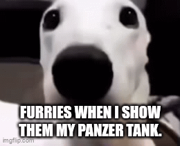 Shivering Dog - Imgflip