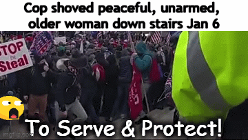Pelosi's Partisan Police Protecting The Public - Imgflip
