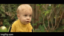 Animated GIF - Imgflip