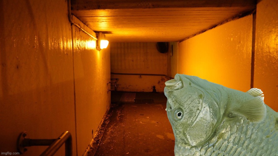 You have acquired fish - Imgflip