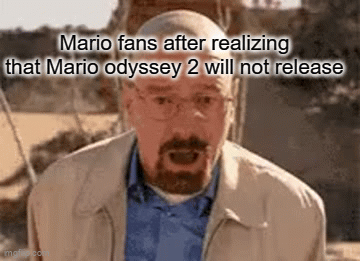 WHY NINTENDO WHYYYYYYYY - Imgflip