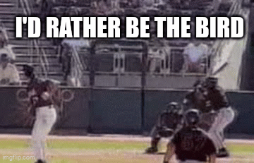 I'd rather be the bird - Imgflip