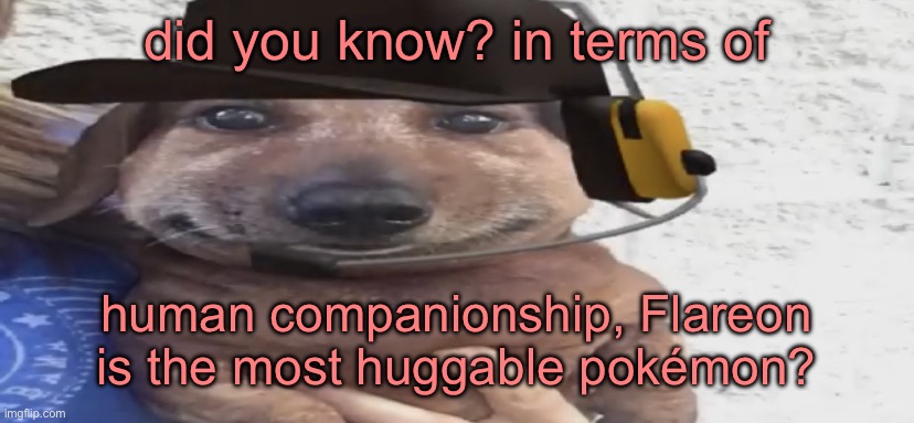 Chucklenuts Imgflip