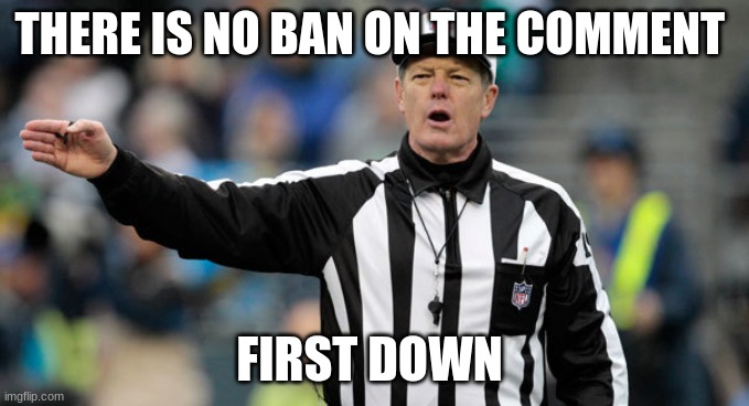 NFL ref referee call foul penalty - Imgflip